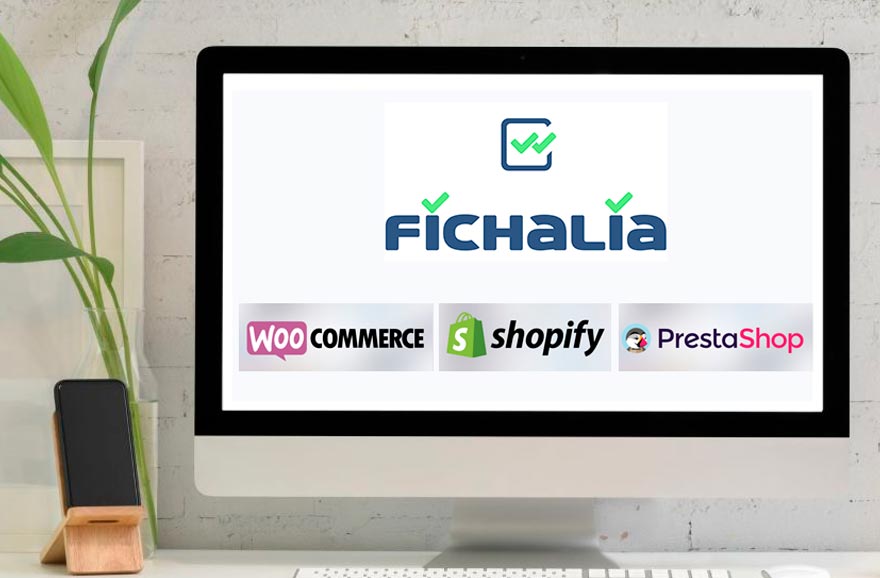 Conectar el Stock de una Tienda Física y Online: Una Guía Completa ...